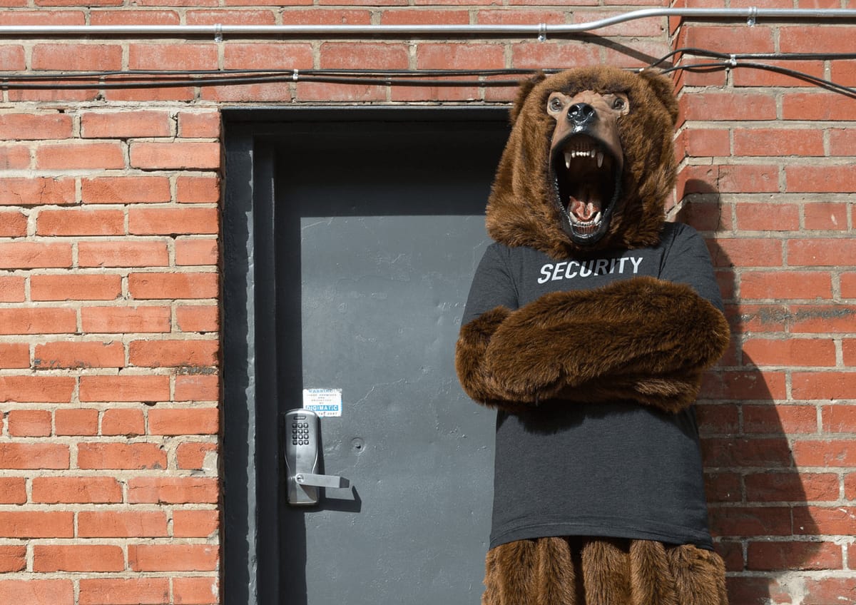 VigilantBear: Quietly Protecting You From Data Leaks Since 2014