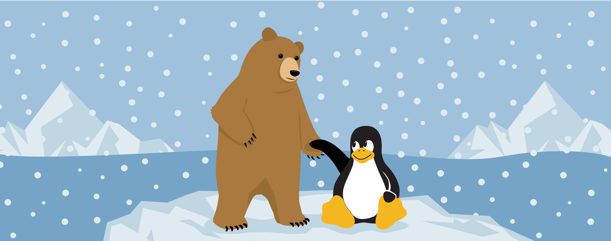 Setting up TunnelBear on Linux